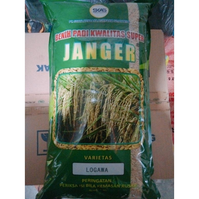 Jual Benih Padi Logawa Janger 5kg | Shopee Indonesia