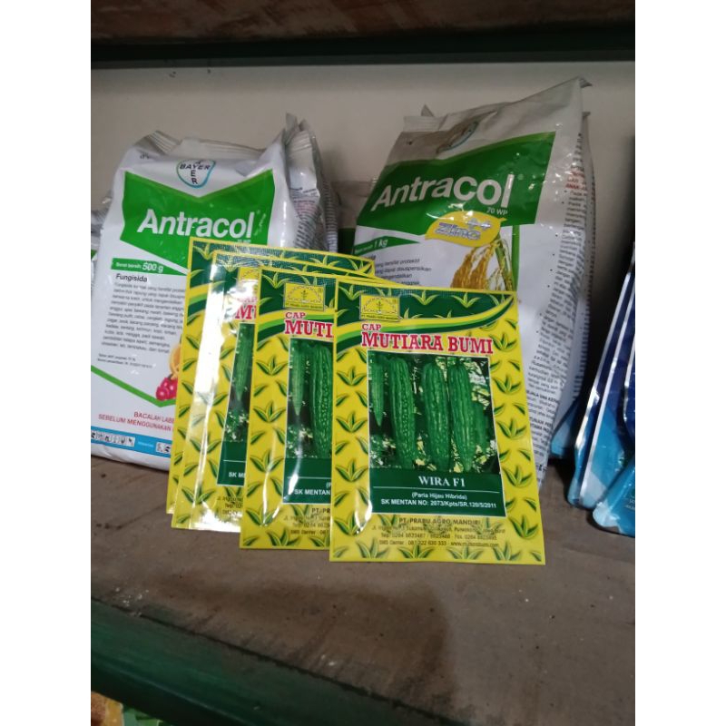 Jual Benih Bibit Pare Paria Wira F1 /Tipe jumbo besar (Panjang Hijau ...