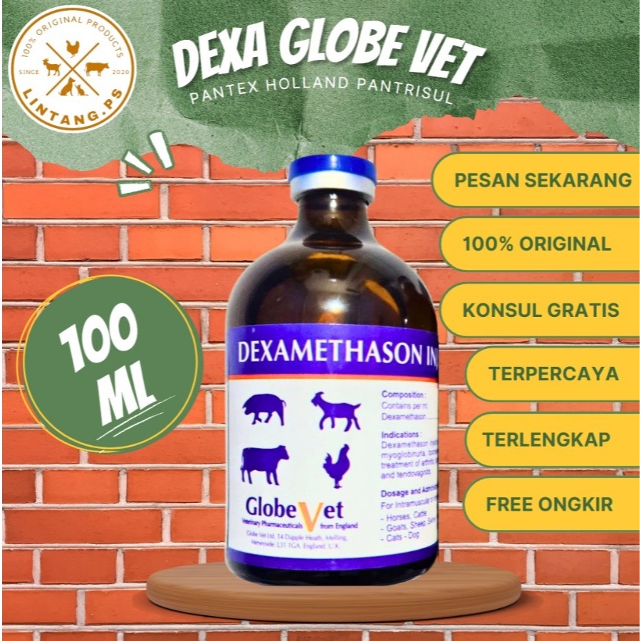Jual Dexa Globe Vet 100ml - Dexamethason Pantex holland - Obat Injek ...
