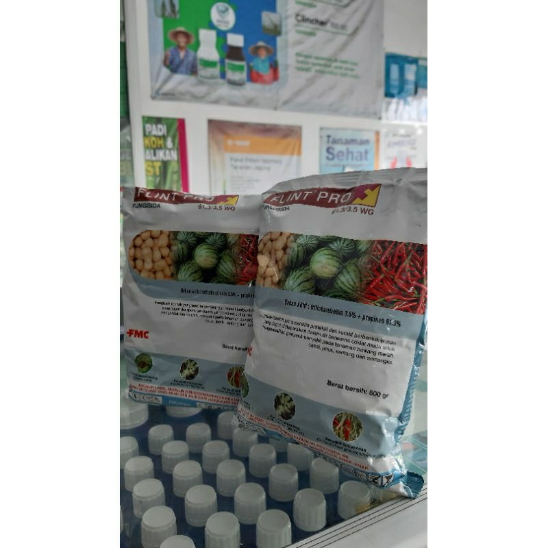 Jual Flint Pro 61.3/3.5 WG 500gr Obat Fungisida Pencegah dan Pembasmi ...