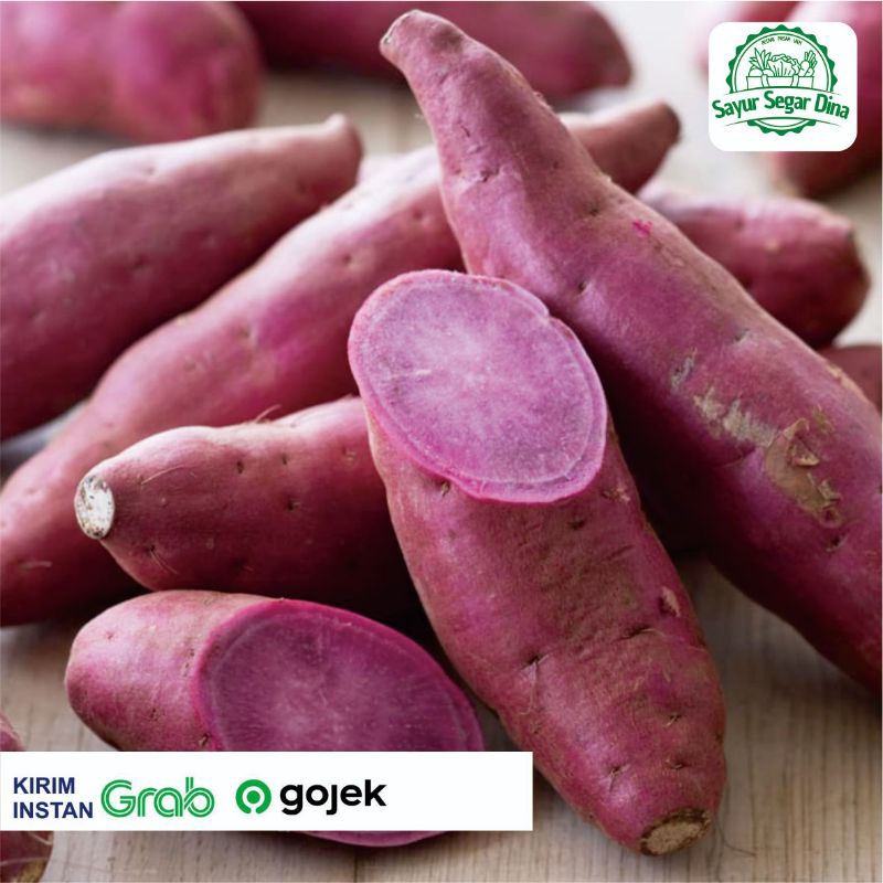 Jual Ubi Ungu Ketela Segar - 1 Kg | Shopee Indonesia