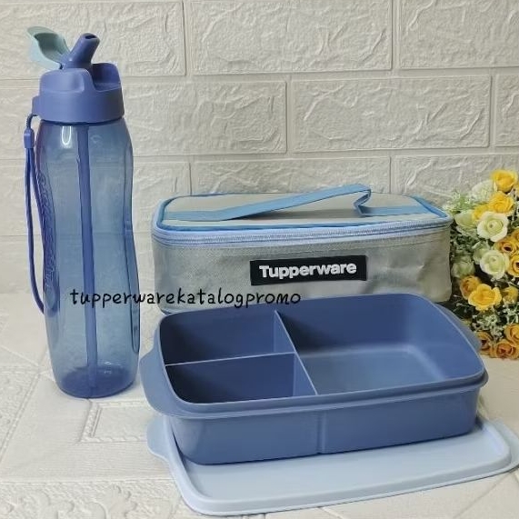 Jual Wadah Bekal Cool Teen Lunch Box Tupperware | Shopee Indonesia