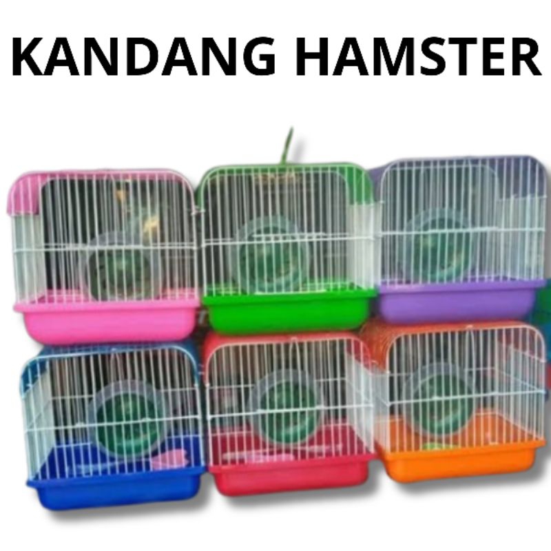 Jual KANDANG HAMSTER UNIK KANDANG MARMUT LUCU | Shopee Indonesia
