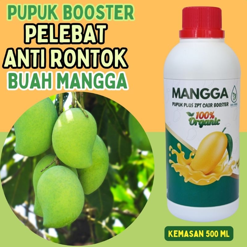 Jual Pupuk Organik Cair Buah Mangga 500 ml | Pupuk Pelebat Buah | Pupuk Buah Mangga agar cepat ...