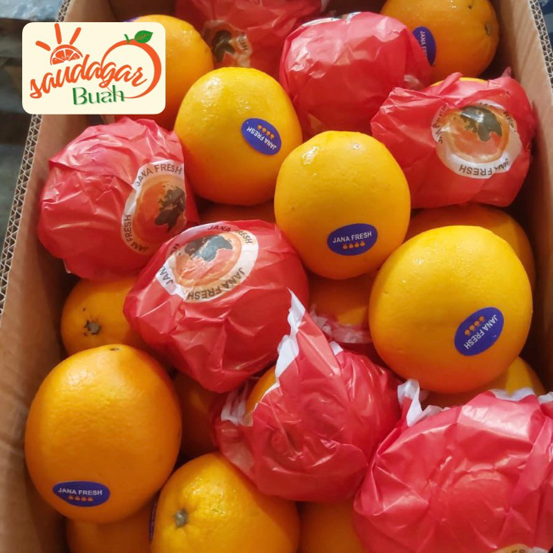 Jual BUAH JERUK POTONG SANKIST VALENCIA SUNKIS ORANGE JUS GROSIR 1 ...