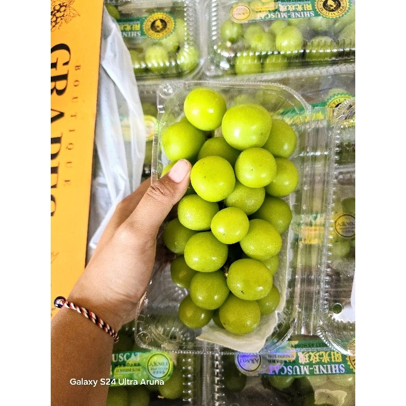 Jual Anggur hijau muscat pack | Shopee Indonesia