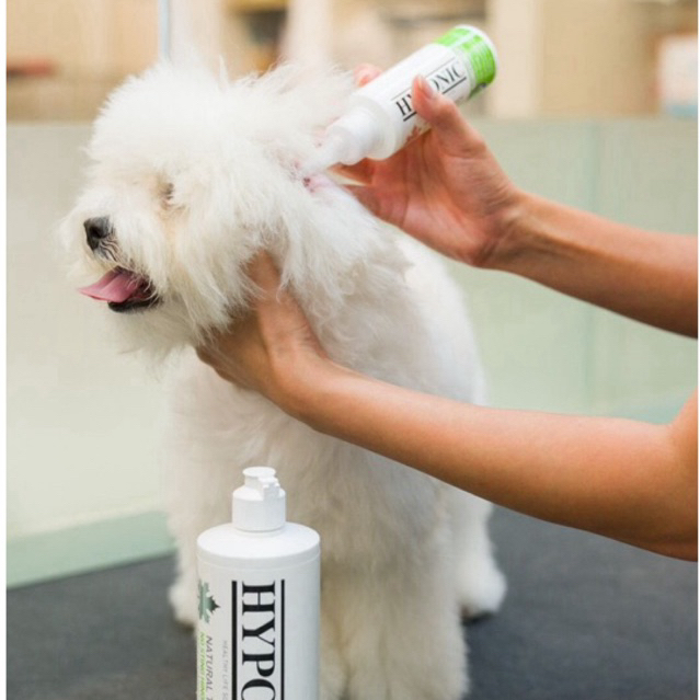 Jual Hyponic Premium No-Sting Hinoki Cypress Ear Cleaner (for dogs ...