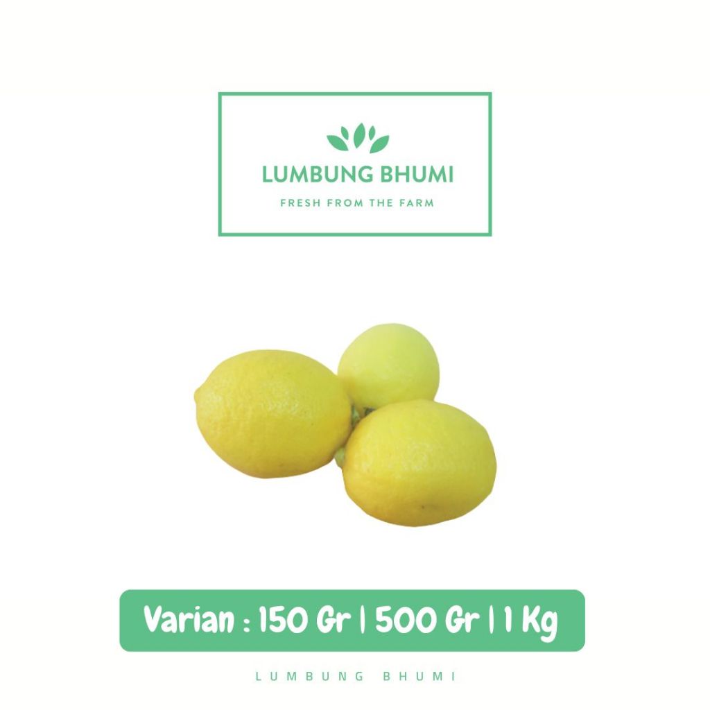Jual Jeruk Lemon Impor Cina Buah - Lumbung Bhumi | Shopee Indonesia