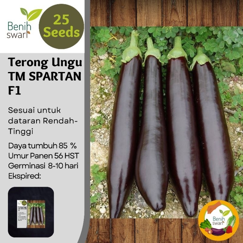 Jual Benih Swari: (isi 25 butir) Benih Terong Ungu TM SPARTAN F1 | Shopee Indonesia