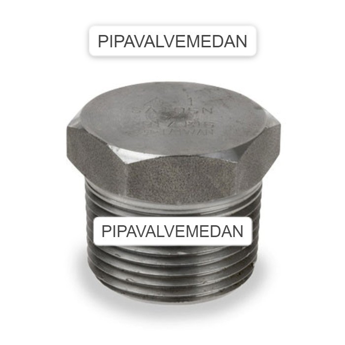Jual Plug 1/2 inch class 3000 ( Besi ) / Hex Plug / tutup pipa 1/2 ...