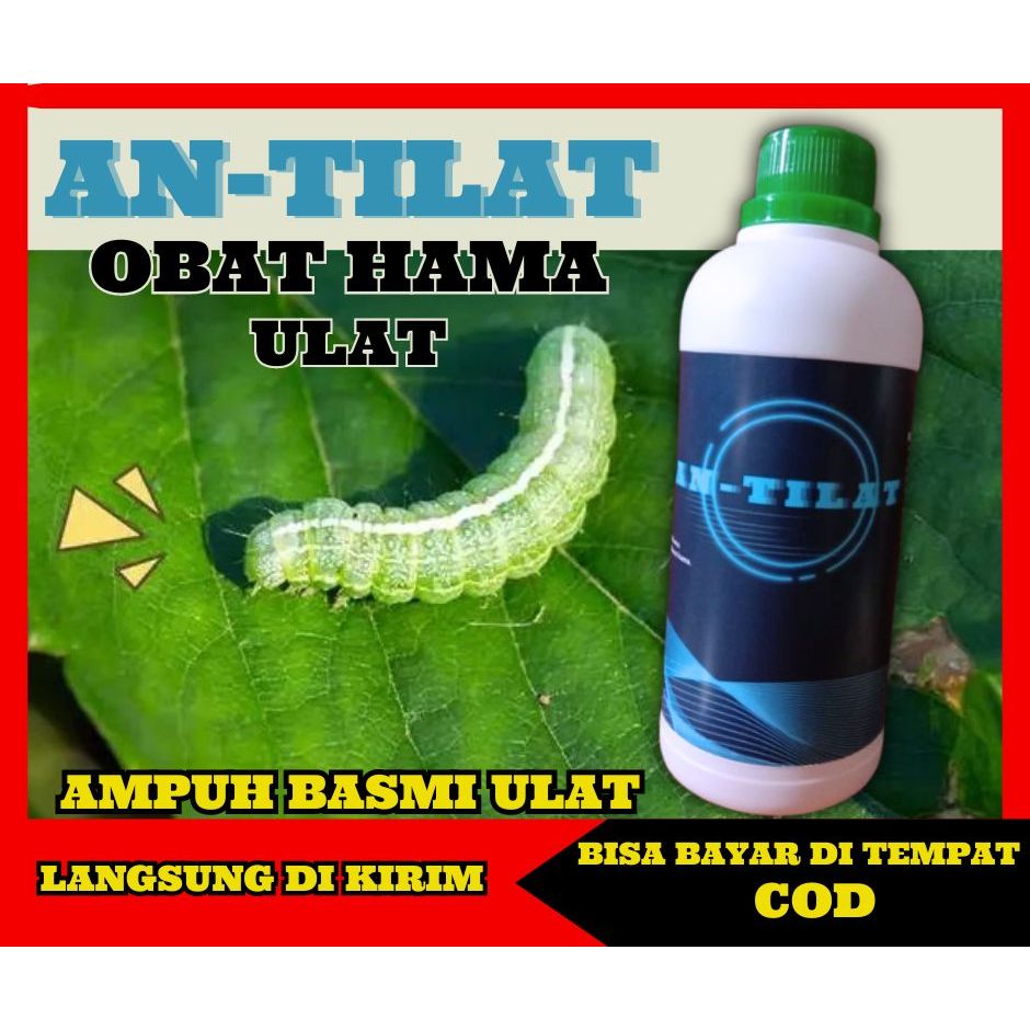 Jual ANTILAT PESTISIDA obat ulat tanaman, mengusir ulat, membasmi ulat tanaman ampuh isi 500ml ...