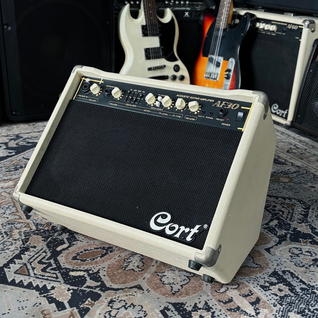 Jual BILLY MUSIK - Ampli Akustik Vocal Cort AF30 8 Inch 30 Watt Multi ...