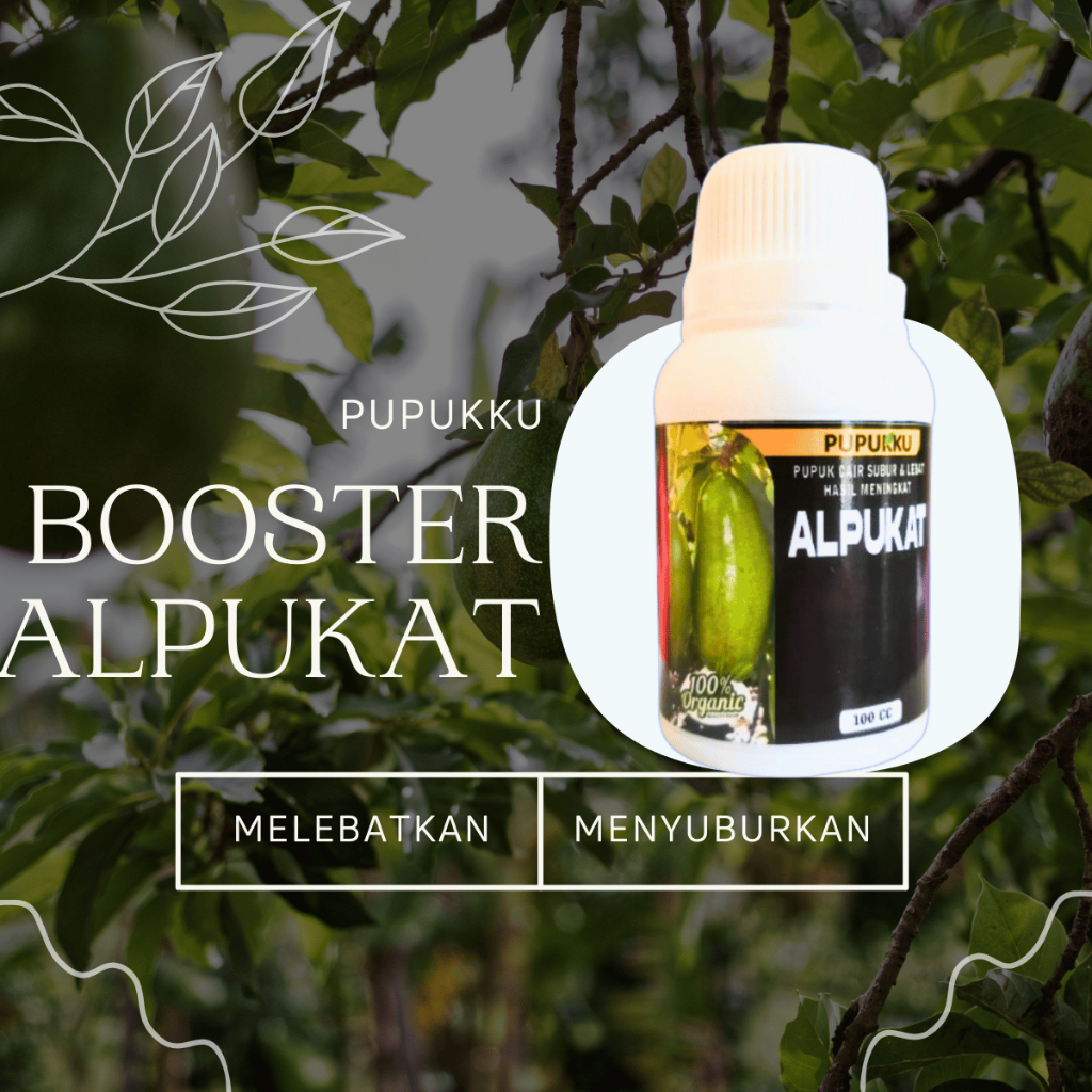 Jual Pupuk Alpukat Pupuk Pelebat Buah Booster cepat berbuah lebat Penyubur Tanaman Perangsang ...
