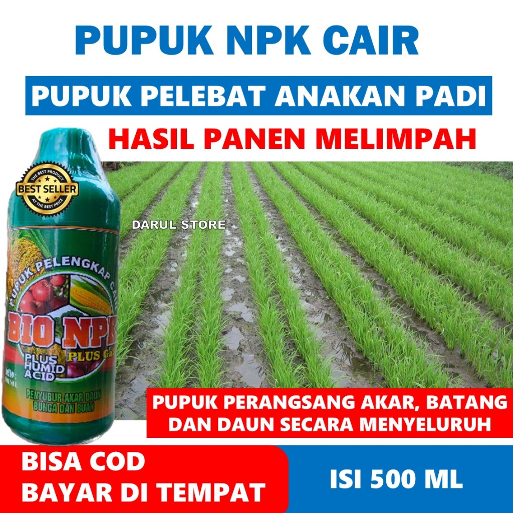 Jual Pupuk NPK Cair Pelebat Anakan Padi 500 ML, Pupuk Organik Pelebat Pada Tanaman Padi - Pupuk ...