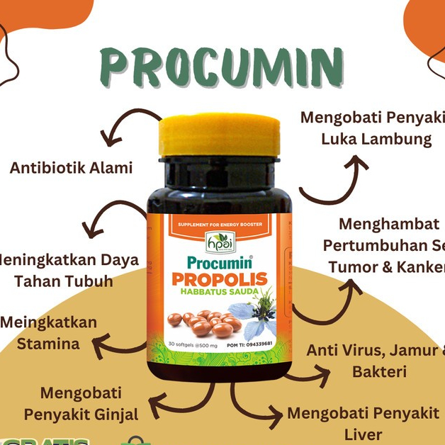 Jual PROCUMIN PROPOLIS HNI - MENGURANGI ASMA DAN MASALAH PERNAPASAN ...