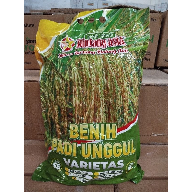 Jual Benih Padi Unggul Varietas Inpari 32 Berat 5kg 100% Original Produk Bintang Asia | Shopee ...