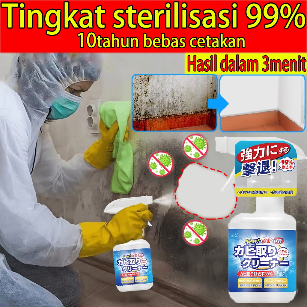 Jual Semprotan Pembasmi Jamur Tembok Paling Ampuh/Spray Pembersih Jamur ...