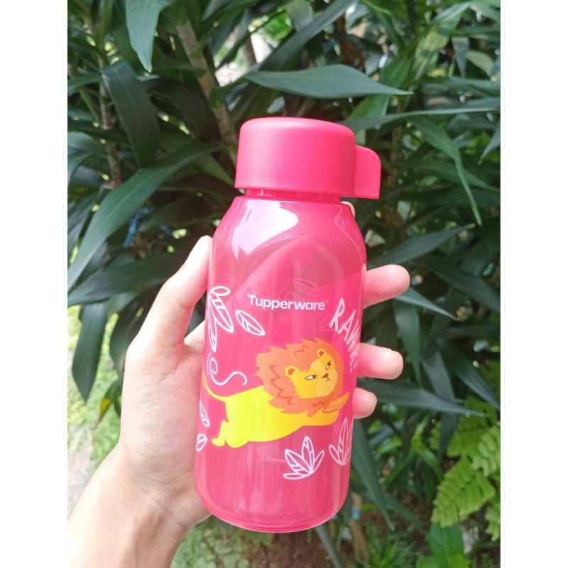 Jual Eco Botol Lion And Tiger 350ml | Shopee Indonesia