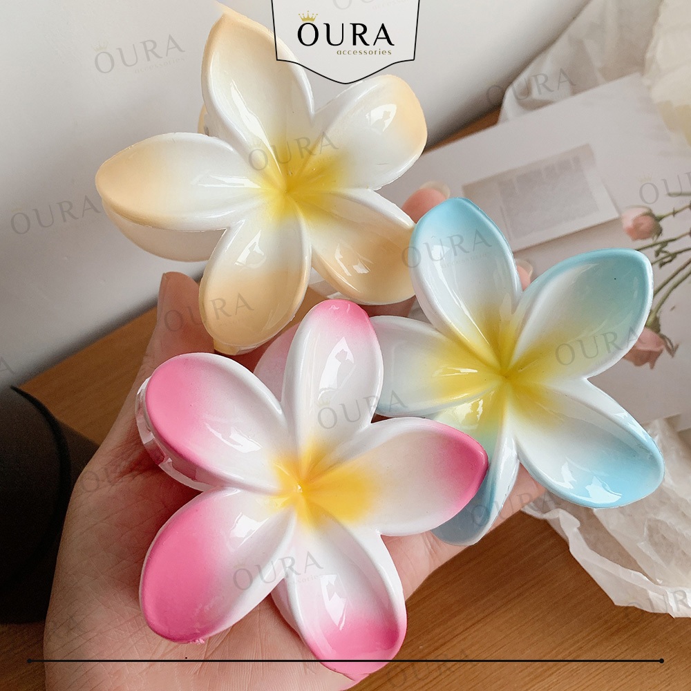 Jual Jedai Bunga Kamboja Gradasi 8 Cm Hair Clip Flower Jepit Rambut ...