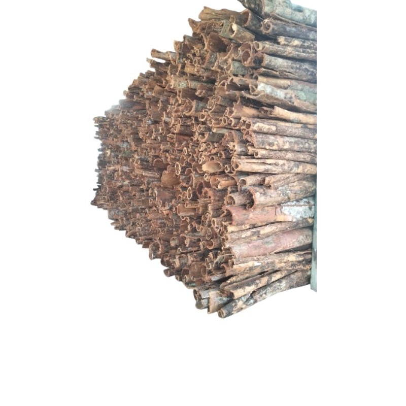 Jual Raru. kulit kayu raru 10 kg | Shopee Indonesia