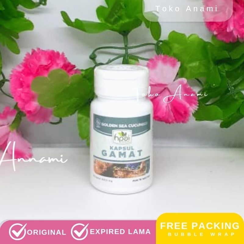 Jual Kapsul Gamat Hni Hpai Original Ekstrak Teripang Emas | Shopee ...