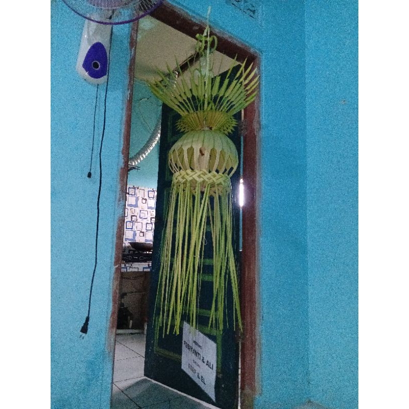 Jual Janur Kuning Pernikahan. | Shopee Indonesia