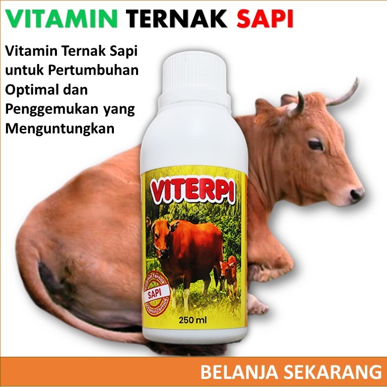Jual Vitamin ternak sapi / Penggemukan sapi potong / Pertumbuhan sapi ...