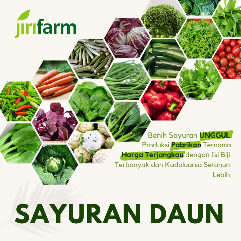 Jual JIRIFARM - Benih Bibit Sayuran Bayam Kangkung Selada Pakcoy Sawi ...