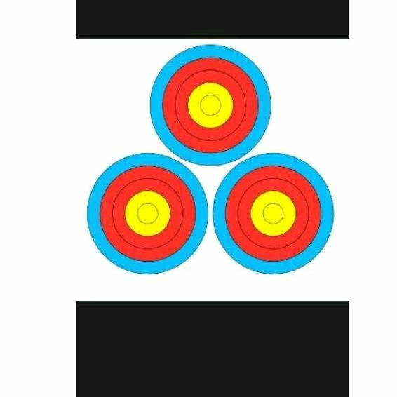 Jual Target Face Print Target Panahan 1mx1m (berbagai variasi standar ...