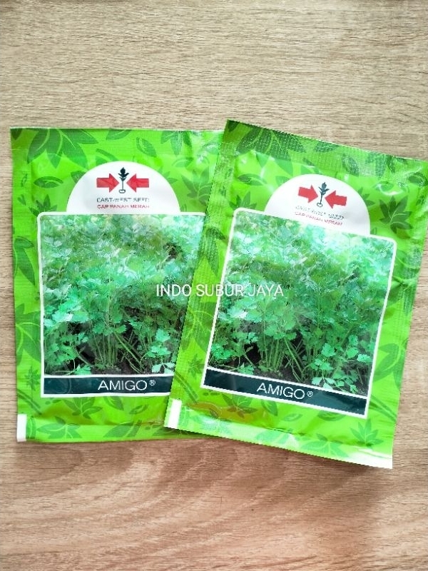 Jual Benih Daun Seledri Daun Sop Amigo Cap Panah Merah 20 Gram Tanaman ...