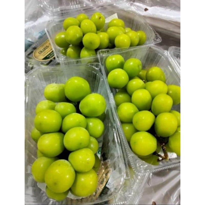Jual anggur muscat | Shopee Indonesia