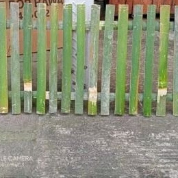 Jual bambu pagar sudah jadi | Shopee Indonesia