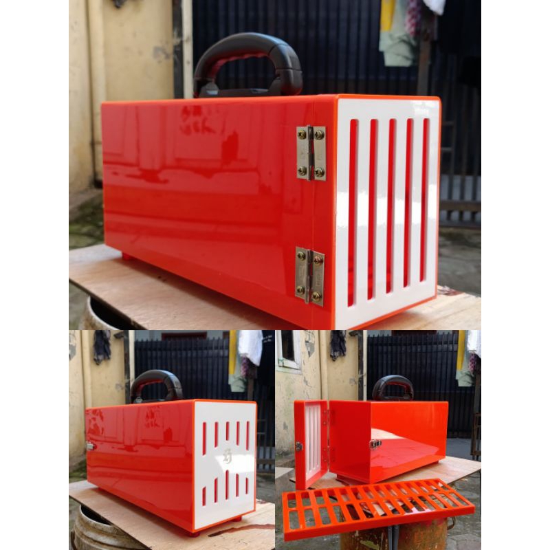 Jual Box Free Fly Parrot Small Bahan Akrilik, Pet Cargo Burung | Shopee ...