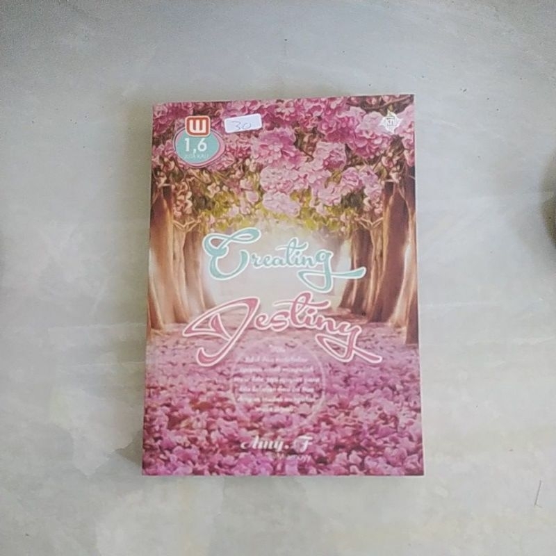 Jual Buku Novel Grating Destiny - Amy.T Bekas Original Ori | Shopee ...