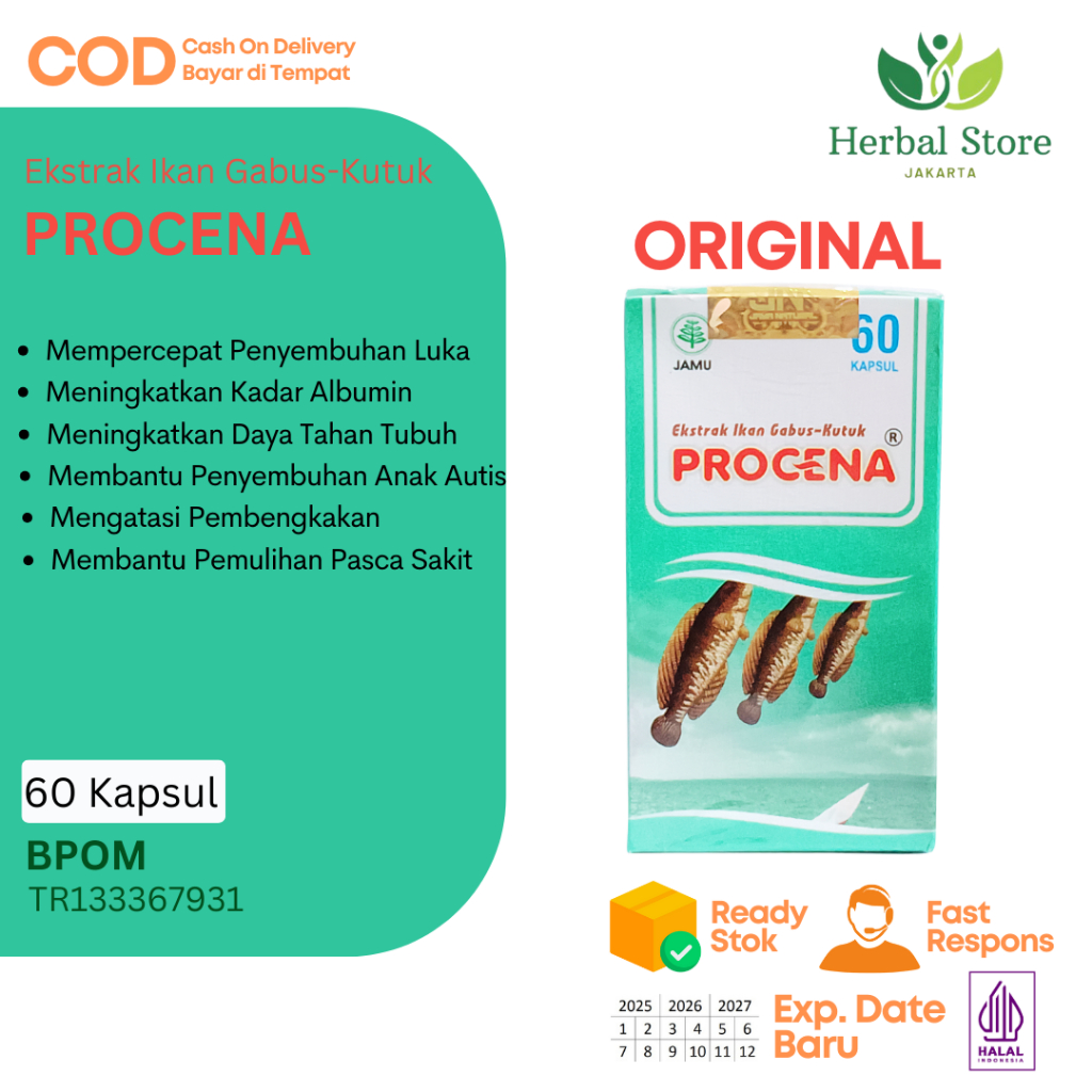 Jual PROCENA Ekstrak Ikan Gabus Kutuk Asli Original 60 Kapsul | Shopee ...