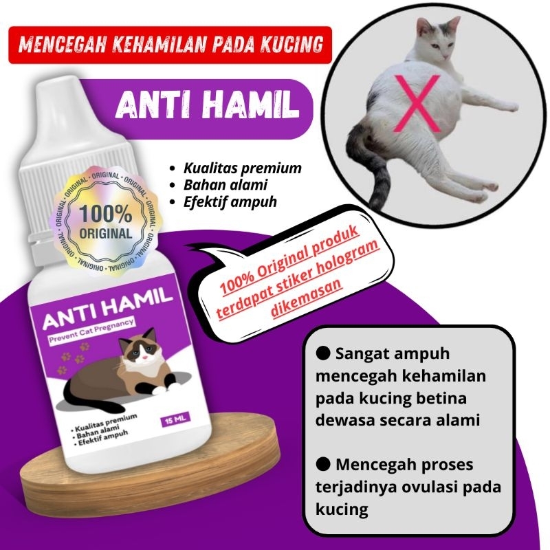 Jual Obat ANTI HAMIL kucing 15ml | mencegah kehamilan dan proses ...