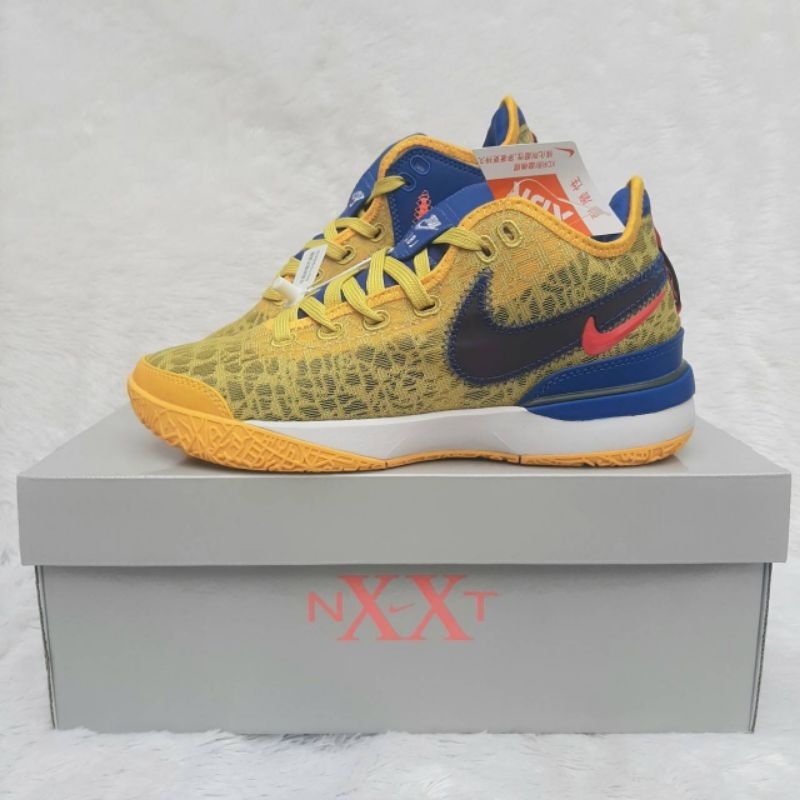 Jual SEPATU BASKET NIKE LEBRON 20 NXXT EP TITAN HOOPS PAIR - MEN'S ...