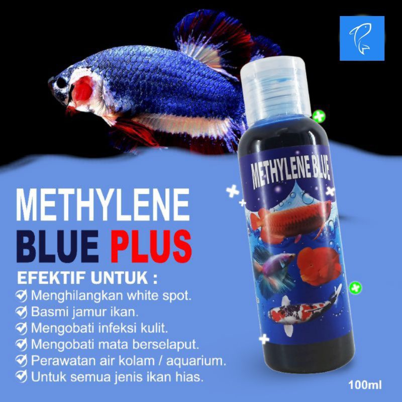 Jual Methylene blue plus obat biru ikan hias cupang Guppy louhan koi koki arwana | Shopee Indonesia