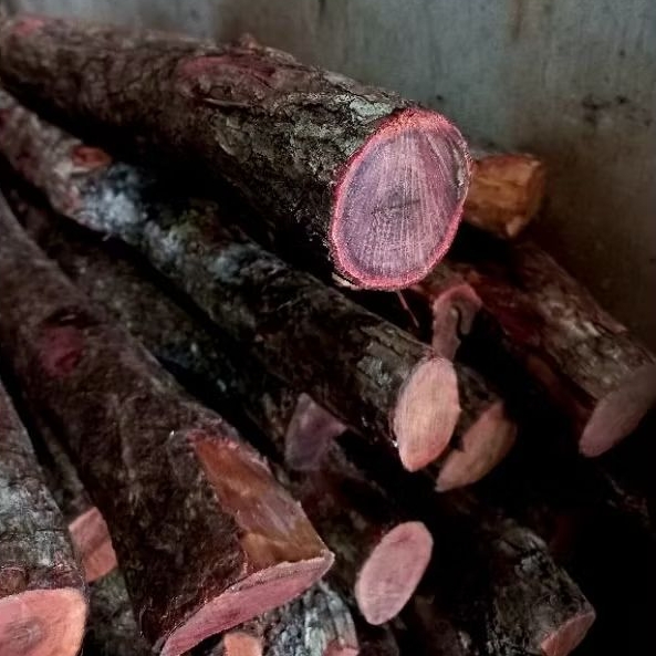 Jual bahan kayu galih stigi/setigi asli karimun jawa | Shopee Indonesia