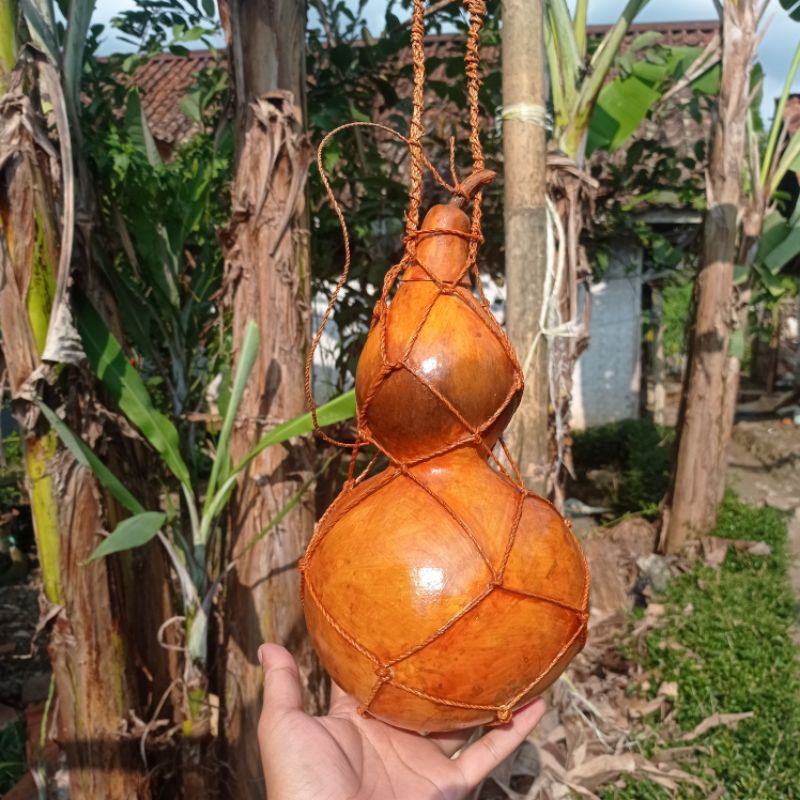 Jual Kempis labu kukuk asli / botol minum labu kukuk | Shopee Indonesia