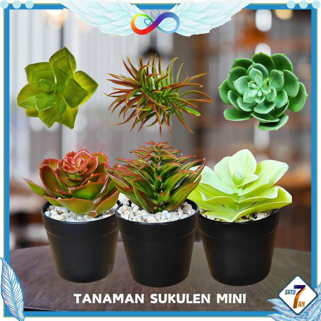 Jual Bunga Sukulen Artificial Mini Pot Hitam Tanaman Hias Palsu ...