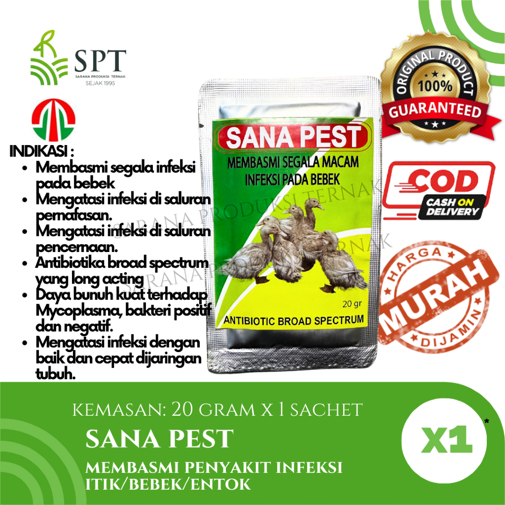 Jual SANA PEST 20 GRAM MEMBASMI SEGALA MACAM INFEKSI PADA BEBEK ITIK ...