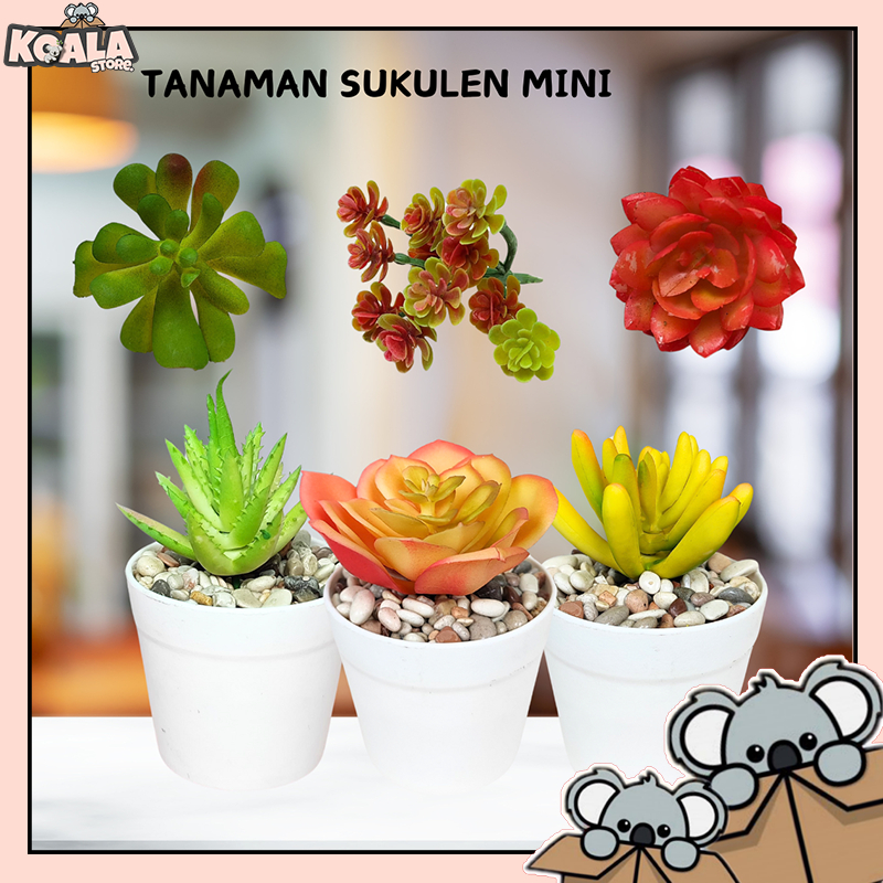 Jual Bunga Sukulen Hias Pot Kaktus Mini Imitasi Artificial Dekorasi ...