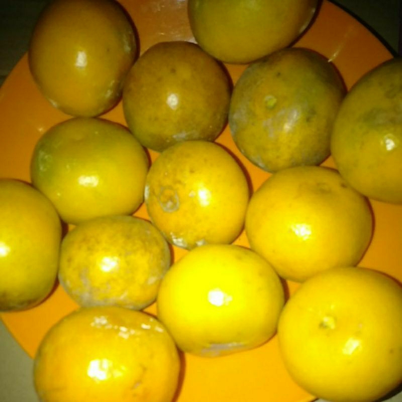 Jual Buah Jeruk Siam Siyem manis | Shopee Indonesia