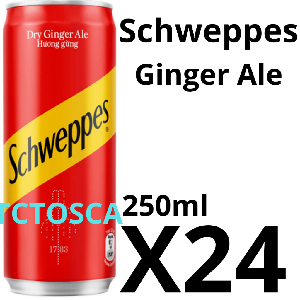 Jual Ginger Ale | Schweppes Ginger Ale 250ml x 24 Pcs | Shopee Indonesia