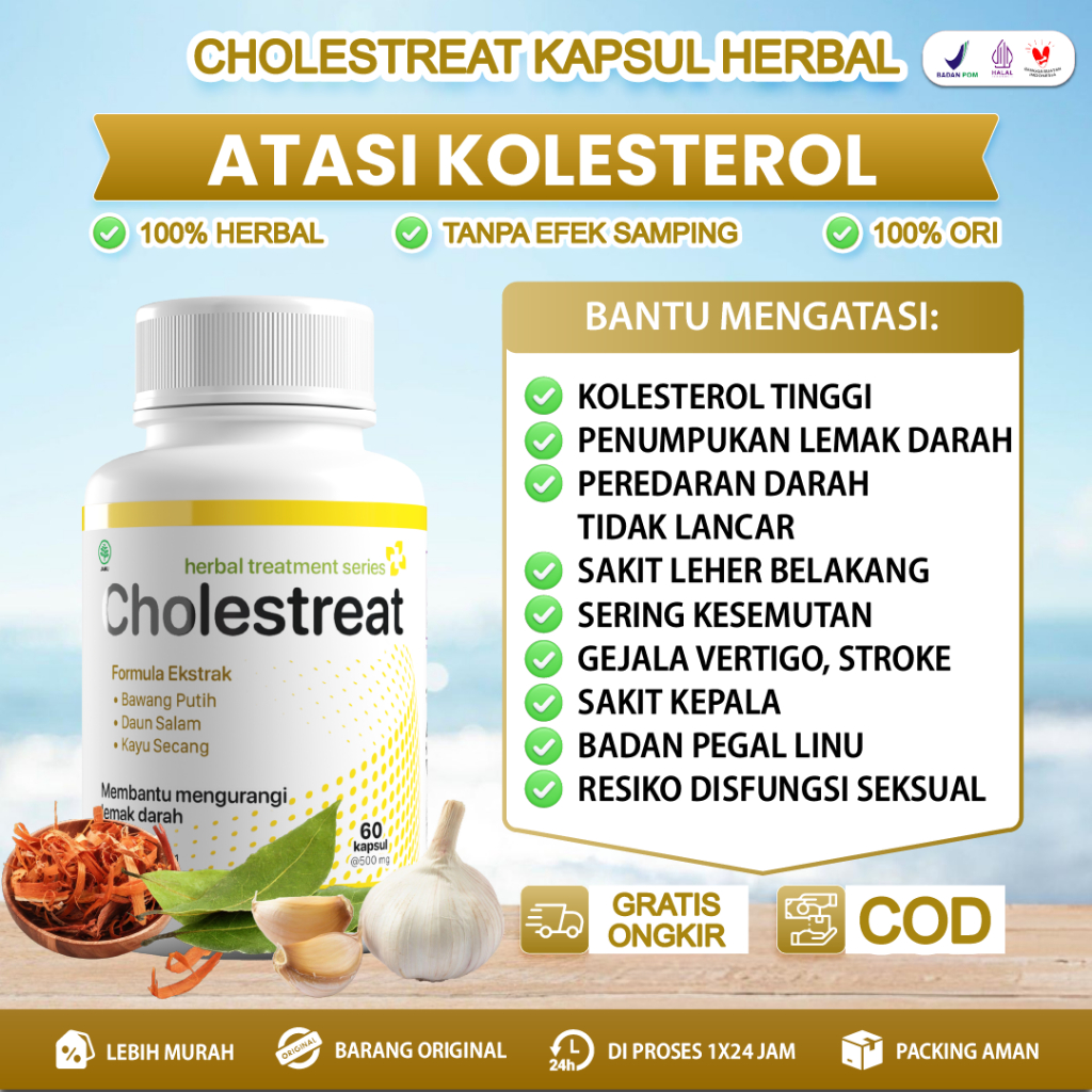 Jual CHOLESTREAT 60 Kapsul - Obat Penurun Kolesterol Ampuh Cegah Stroke ...