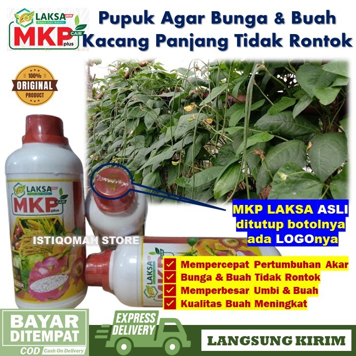 Jual Pupuk Agar Bunga dan Buah Kacang Panjang Tidak Rontok yang Bagus dan Paling Ampuh MKP LAKSA ...