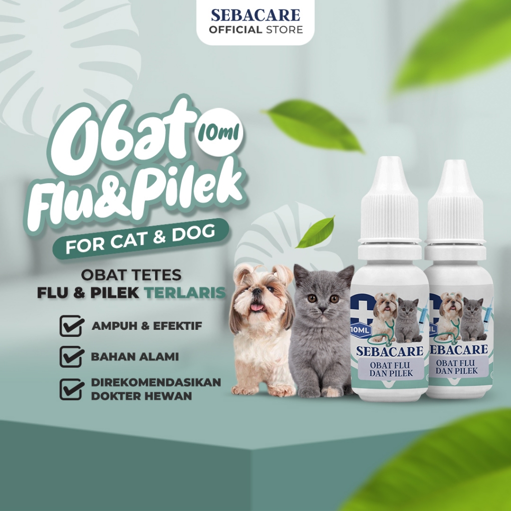 Jual SEBACARE Obat Flu Pilek Kucing Dan Anjing | Mengatasi Bersin Batuk Dan Gejala Demam Anabul ...