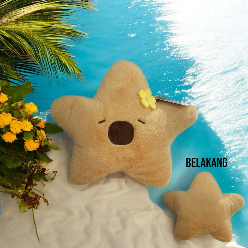 Jual boneka star fish bintang laut kkv ohsome | Shopee Indonesia