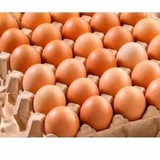 Jual Telur Omega Terlengkap & Harga Terbaru Desember 2025 | Shopee ...